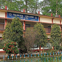 Falakata College